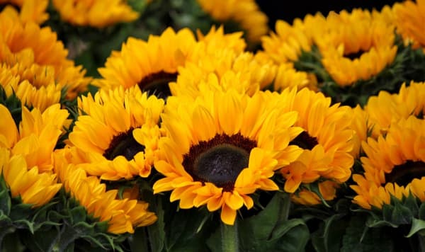 Intuitech | Digitalisation Studio